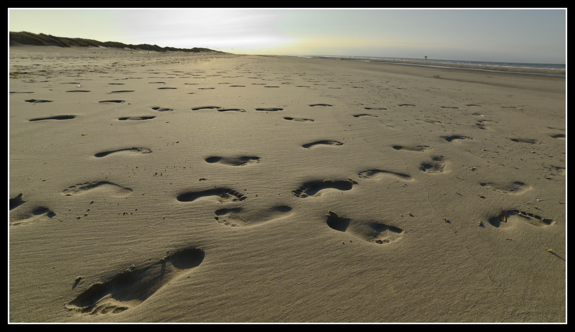 Ameland 2 Foto & Bild | landschaft, meer & strand, strandmakros Bilder ...