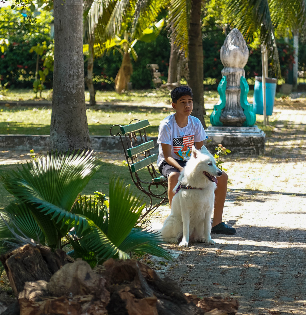 ..amis.. Foto & Bild | reportage dokumentation, tiere, streetfotografie mit menschen Bilder auf ...