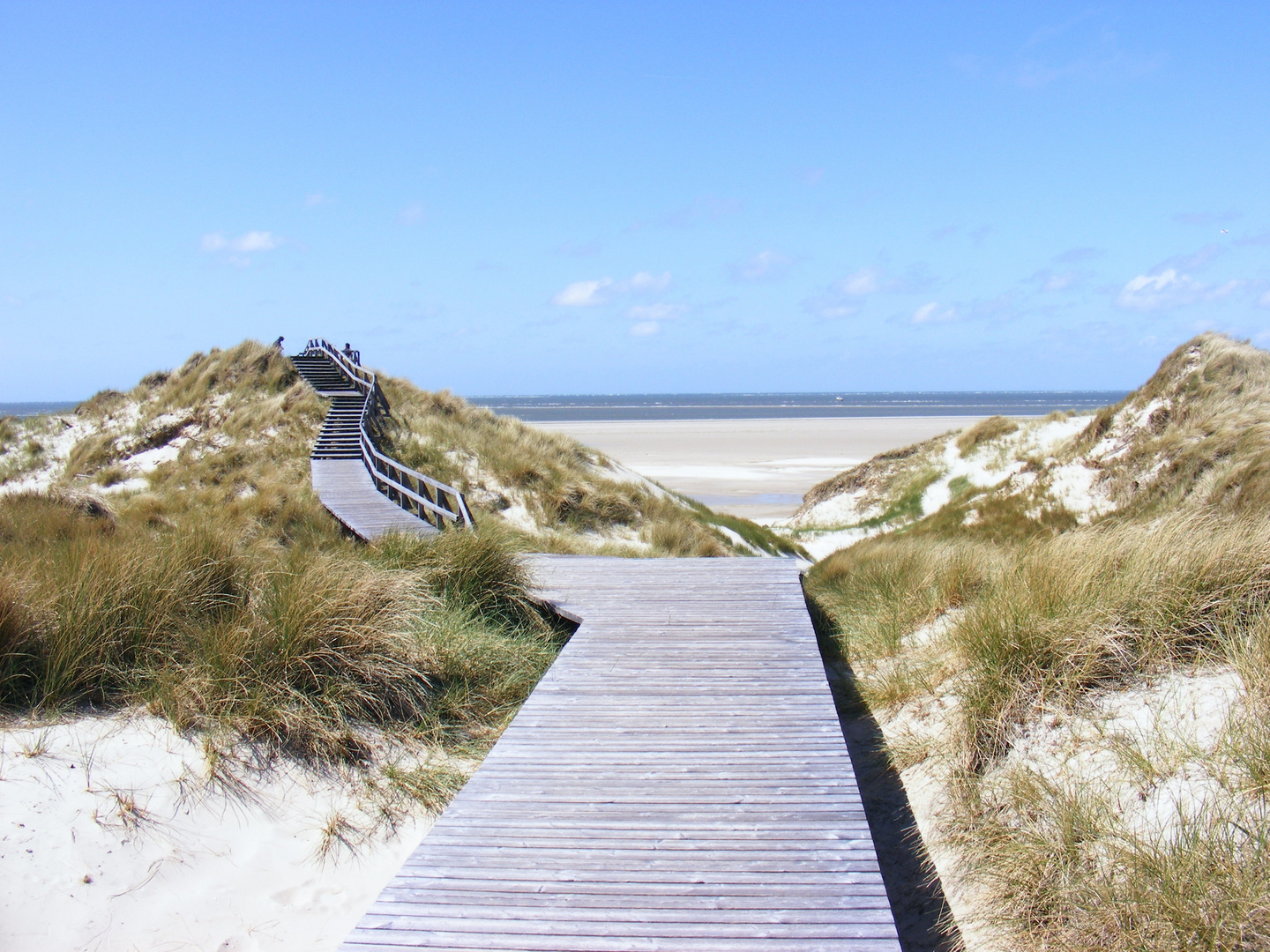 Amrum - Bohlenweg ins Glück Foto & Bild | landschaft, meer & strand ...