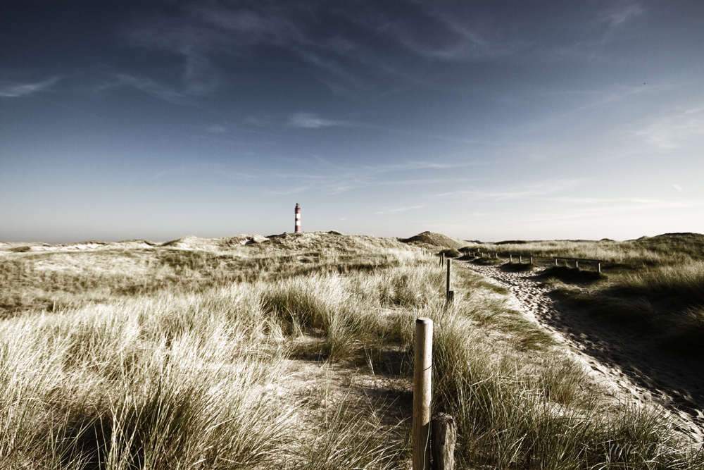 Amrum Foto & Bild | deutschland, europe, schleswig- holstein Bilder auf ...