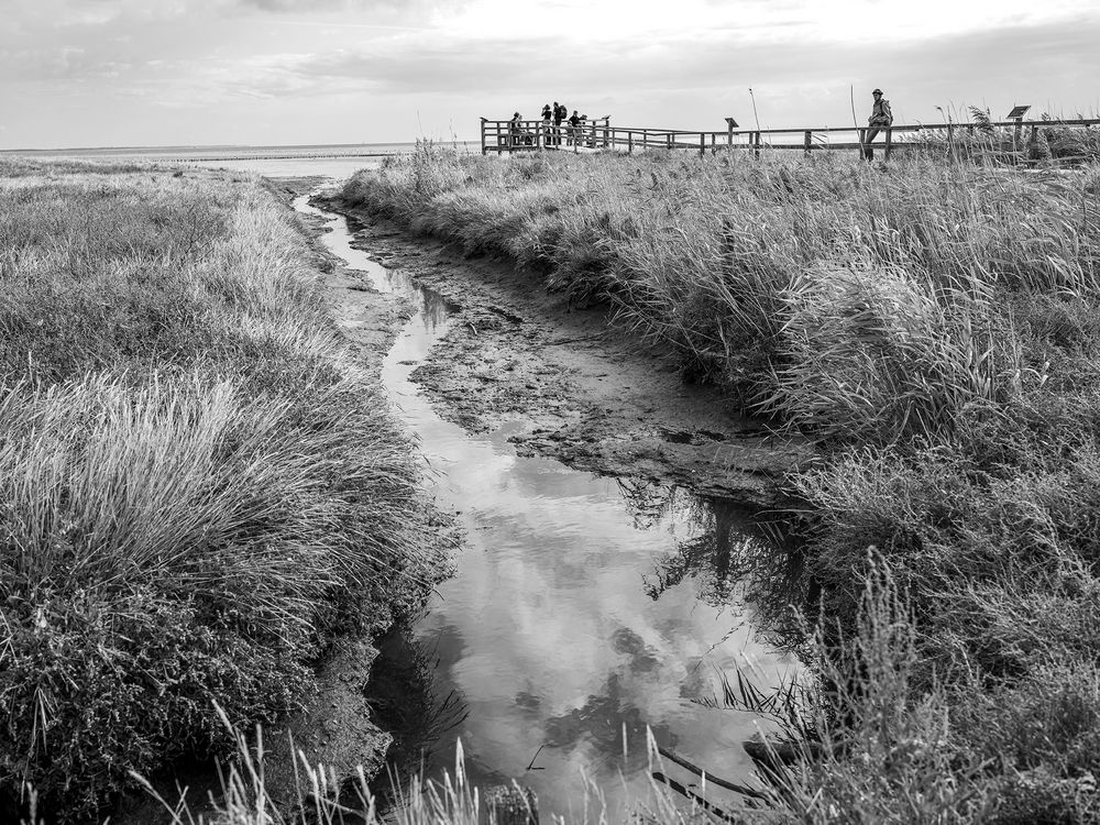 Amrum-Nebel, Aussichtsplattform am Watt Foto & Bild | deutschland ...