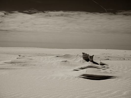 Amrum Bilder & Fotos