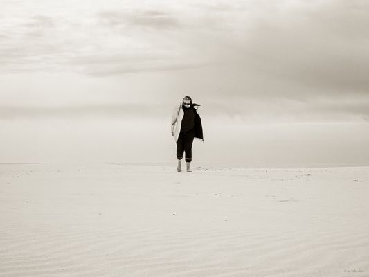 Amrum Bilder & Fotos