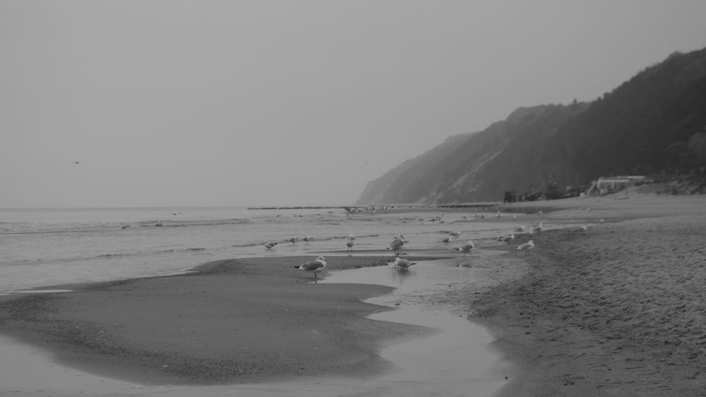 am.strand Foto & Bild | landschaft, meer & strand, projekte Bilder auf ...