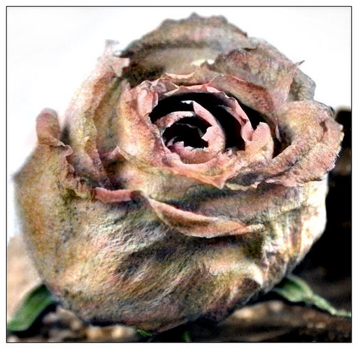 An deinem Grab Foto & Bild | verfremdung (geschl.), x-archiv, digiart ...