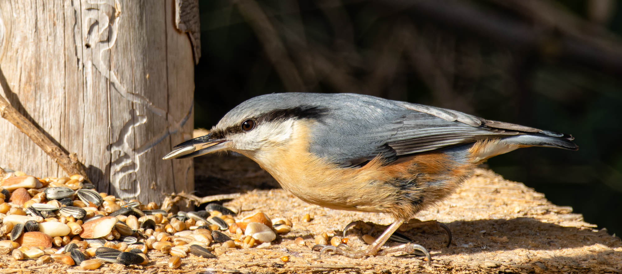 An den... Foto & Bild | natur, tiere, wildlife Bilder auf fotocommunity