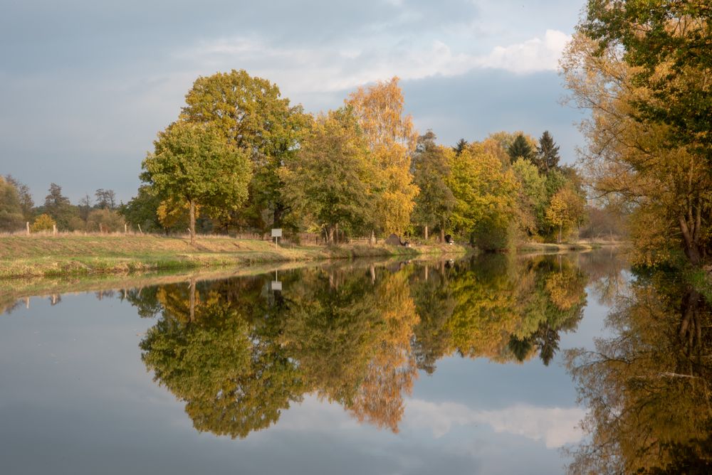 an der Aller Foto & Bild | landschaft, bach, fluss & see, flüsse und ...