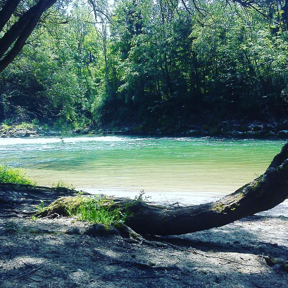An der Alz in Wiesmühl bei Garching Foto & Bild | fotos, natur, fluss ...