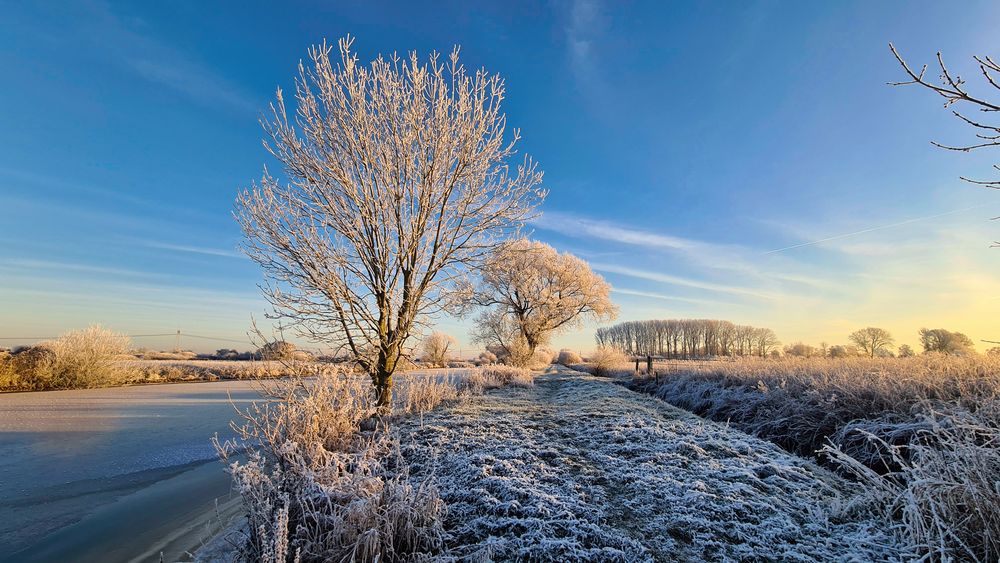 an der Hamme Foto & Bild | landschaft, jahreszeiten, winter Bilder auf fotocommunity