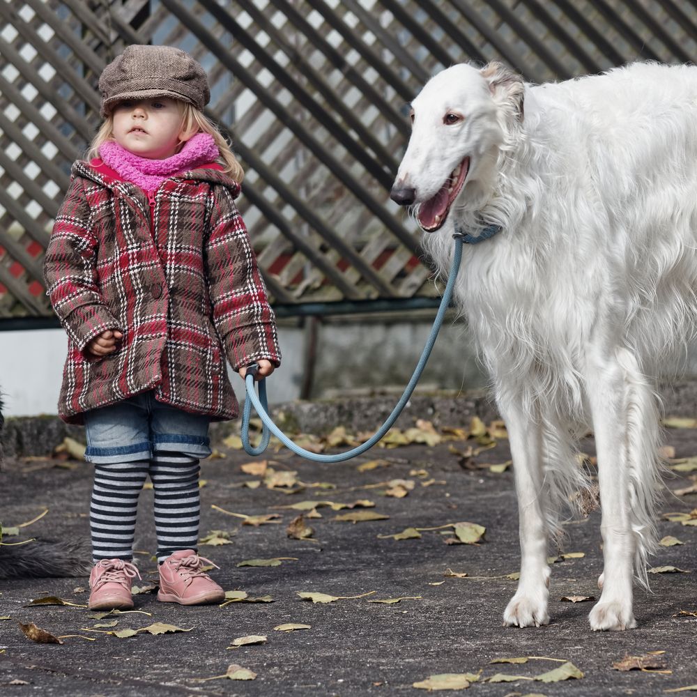 An der Leine Foto & Bild | hund, kind, mensch Bilder auf fotocommunity