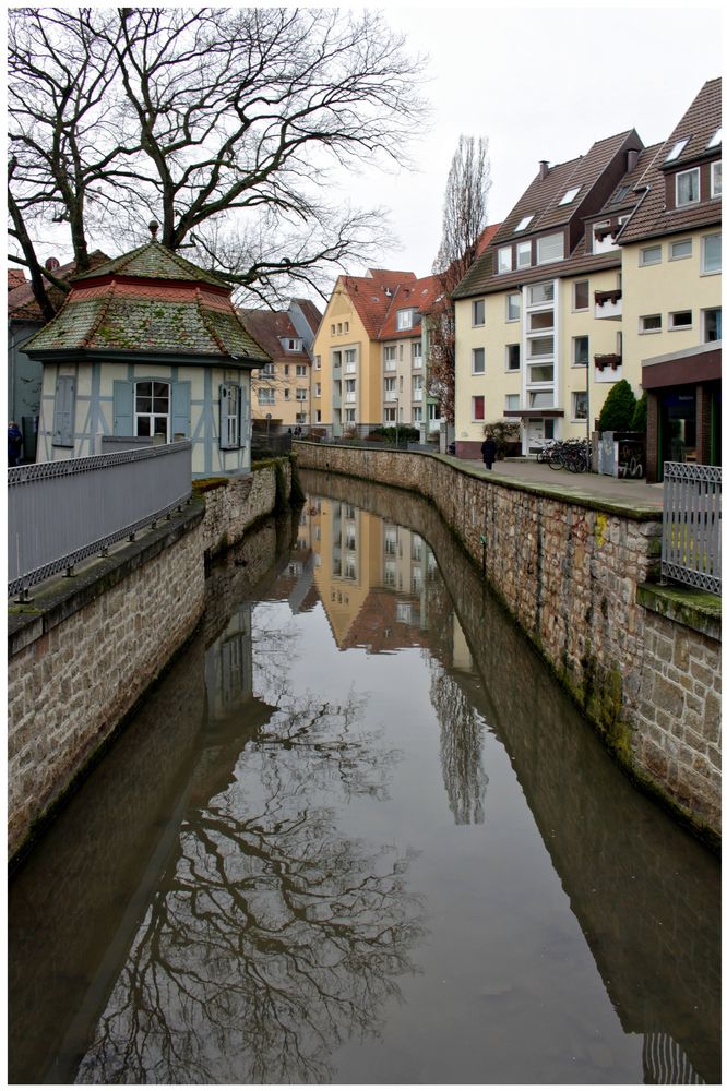 an der leine - in der leine. Foto & Bild | world, spezial, natur Bilder ...