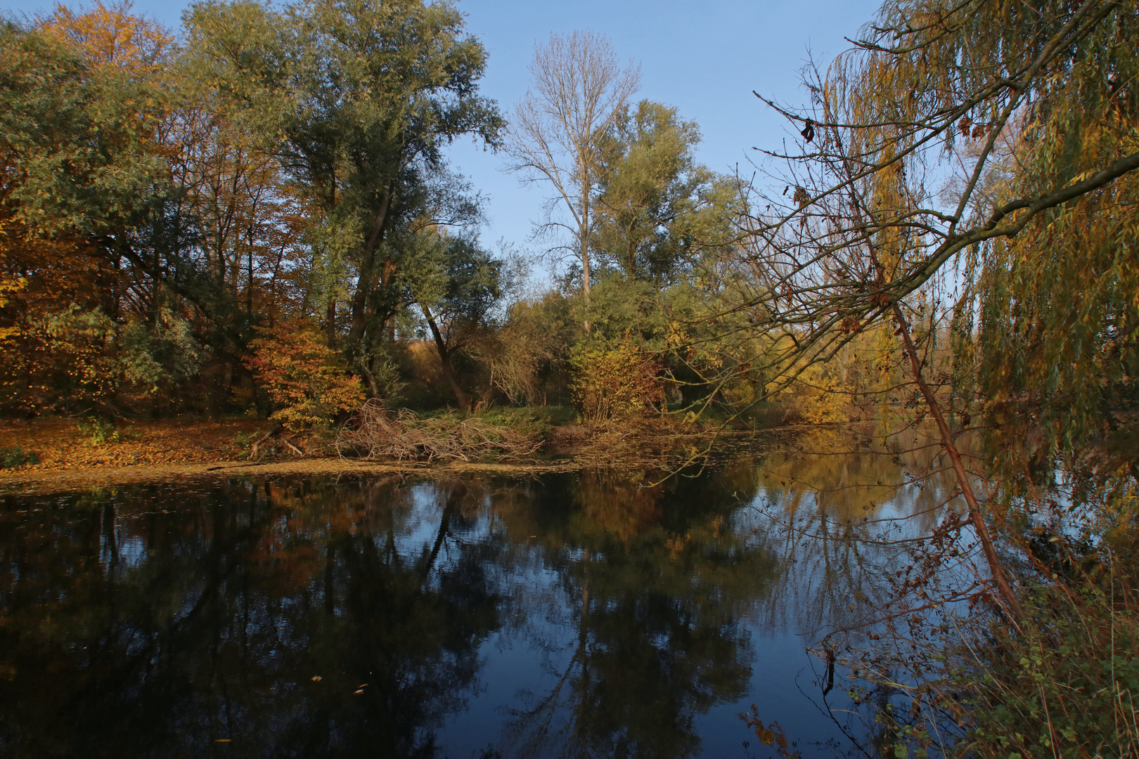 An der Oker Foto & Bild | landschaften, wasser, bäume Bilder auf ...