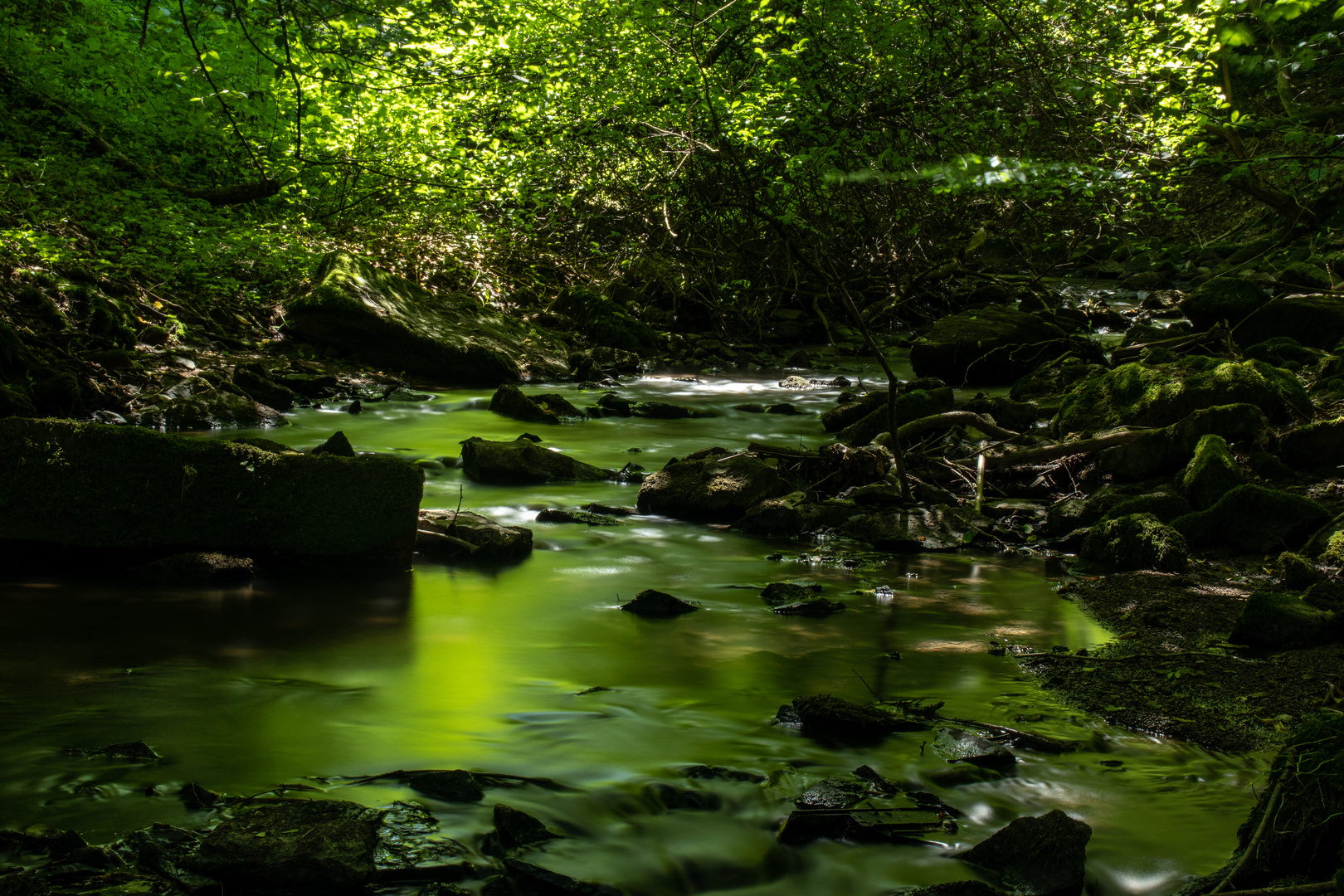 An der schönen grünen Modau Foto & Bild | landschaft, jahreszeiten ...