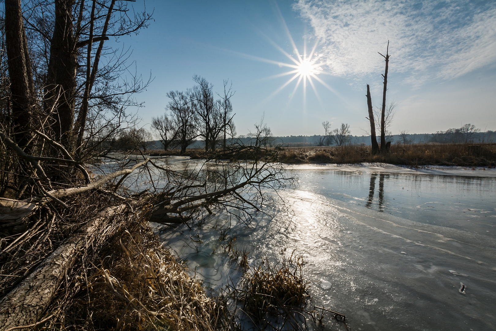An der Spree Foto & Bild | deutschland, europe, brandenburg Bilder auf ...