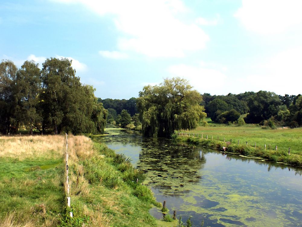 An der Trave Foto & Bild | landschaft, bach, fluss & see, flüsse und ...