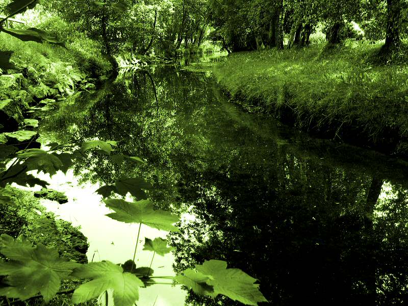 An der Windach Foto & Bild | archiv digitalphoto, 08 04: spiegelungen ...