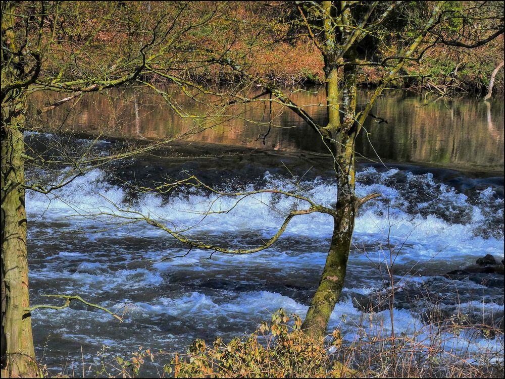 An der Wupper Foto & Bild | natur, landschaft, fluss wupper Bilder auf ...
