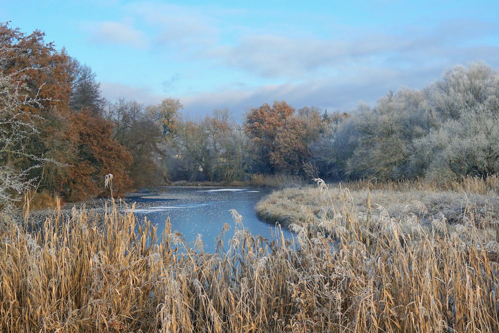 An einem Altarm (3) Foto & Bild | winter, natur, landschaft Bilder auf fotocommunity