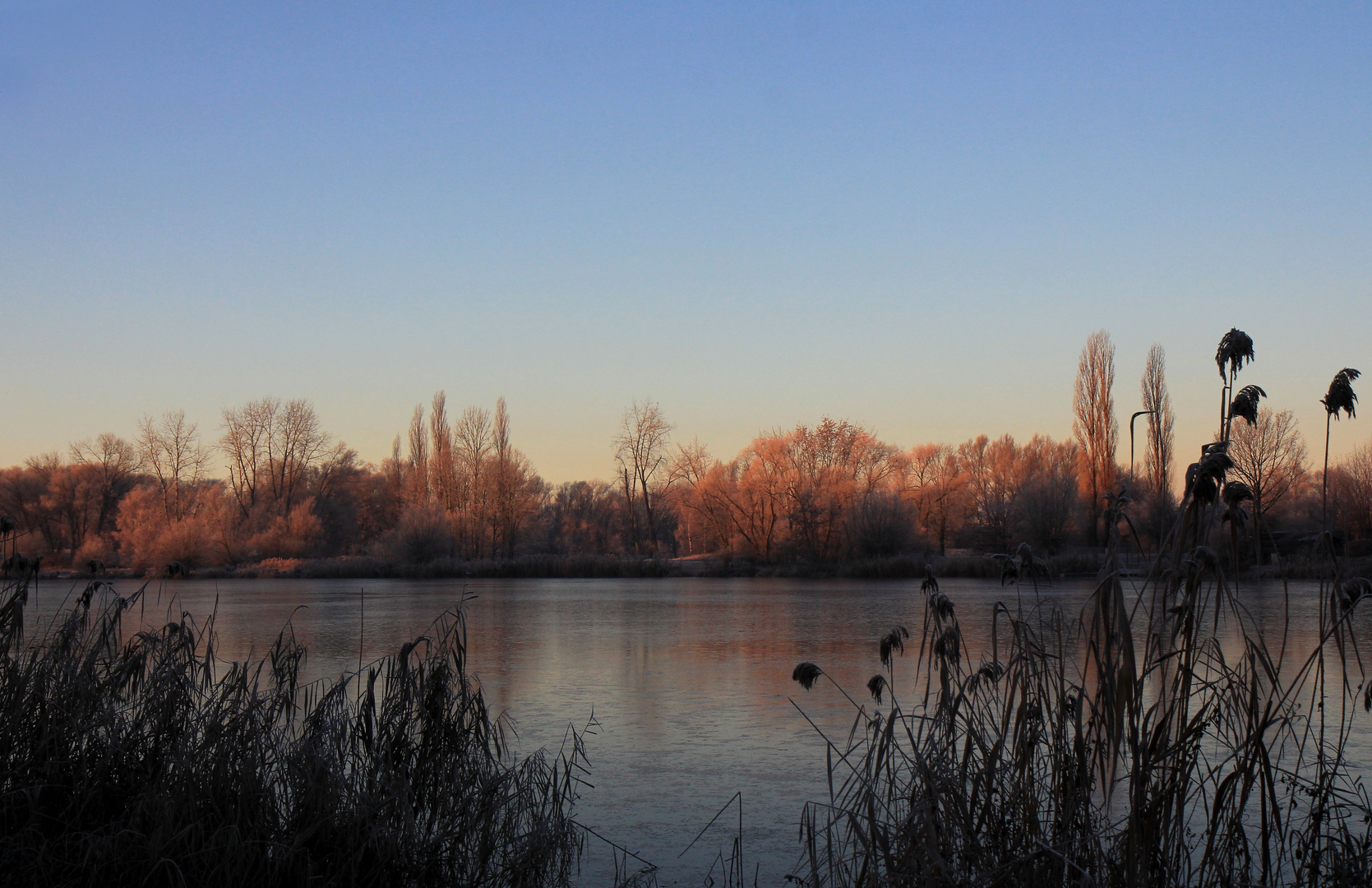 An einem kalten Morgen Foto & Bild | landschaft / städte, bäume ...