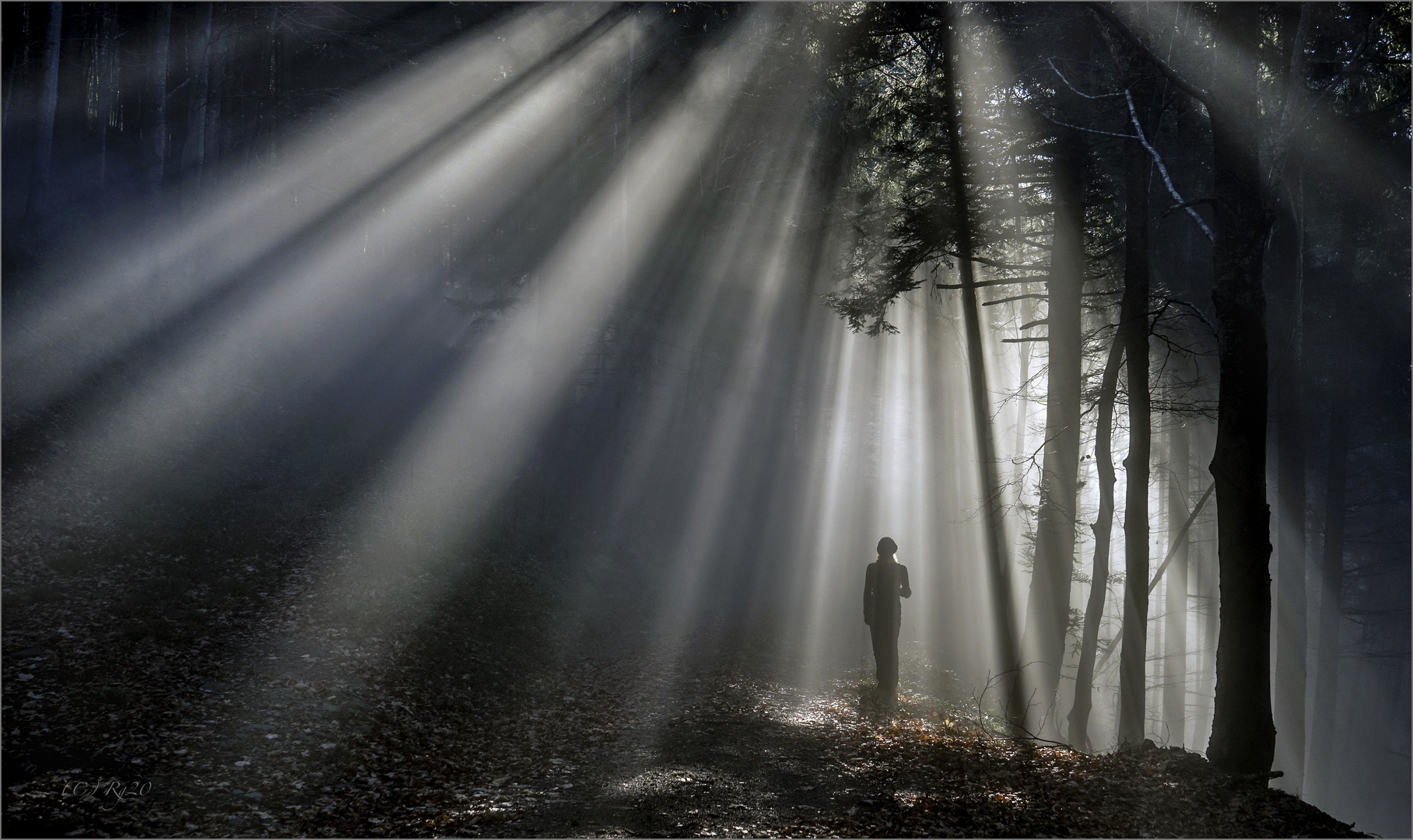 an einem ort der stille Foto & Bild | world, spezial, wald Bilder auf ...