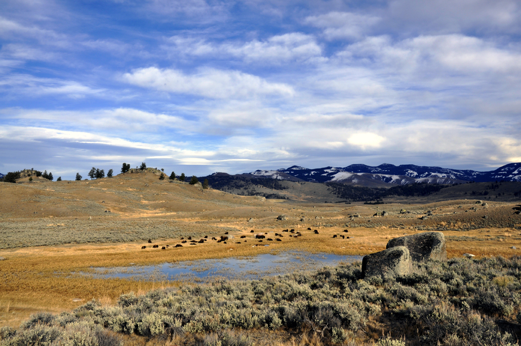 an indian moment in yellowstone Foto & Bild | north america, united ...