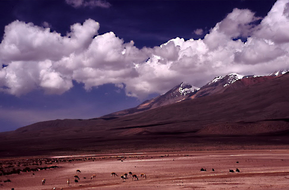 Anden Foto & Bild | south america, peru, world Bilder auf fotocommunity