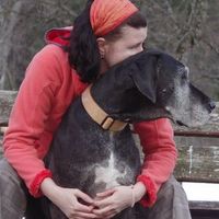 andrea geisler - Fotos & Bilder - Fotografin aus achenkirch, Österreich ...