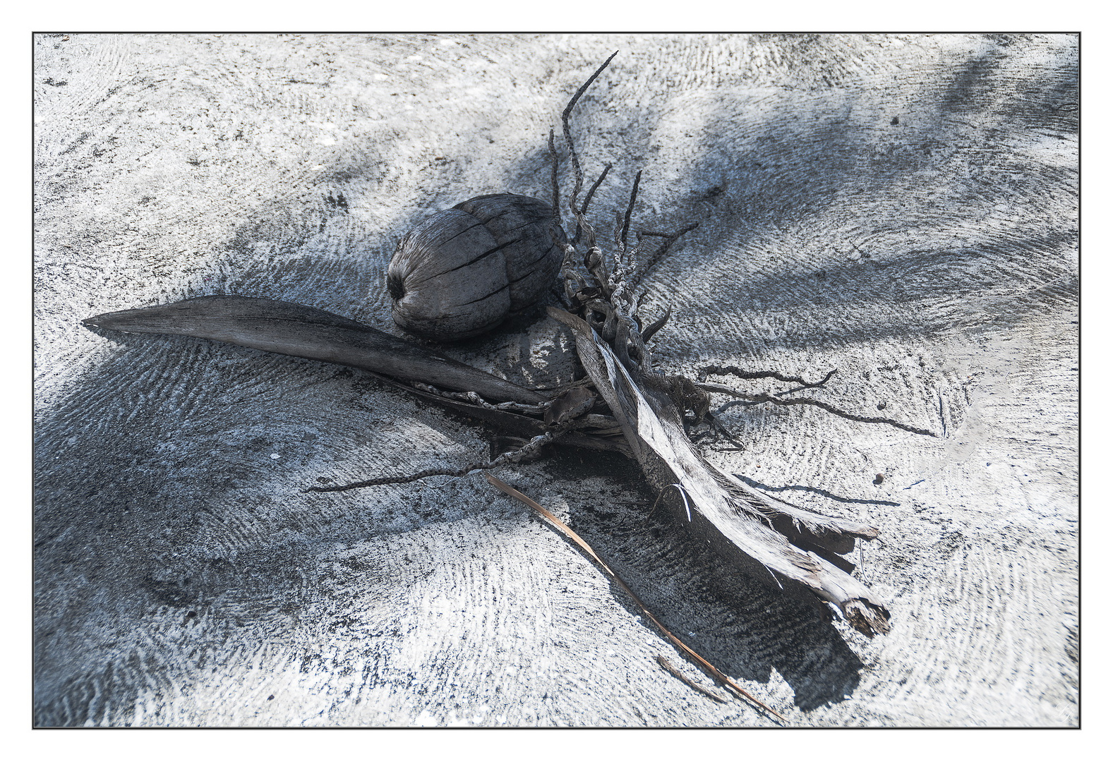 Ange déchu ? photo et image | nature, fruit Images fotocommunity