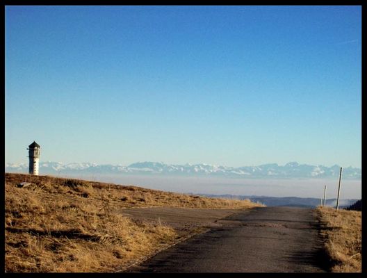 Julia Willer - Fotos & Bilder - Fotografin aus Nürnberg, Deutschland ...