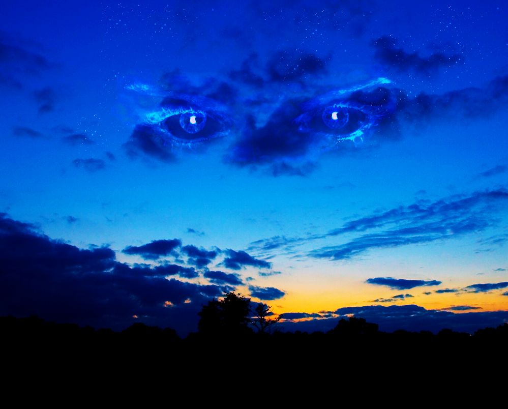 Angeleyes - Bild & Foto von Erich Breitz aus Die besten Bilder ...