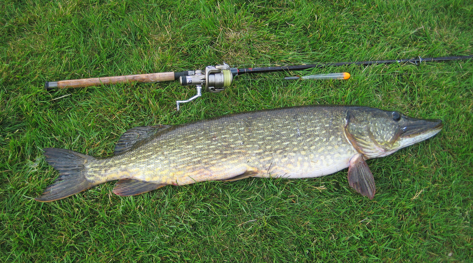 Angeln in Schweden Foto & Bild | schweden, natur, landschaft Bilder auf ...