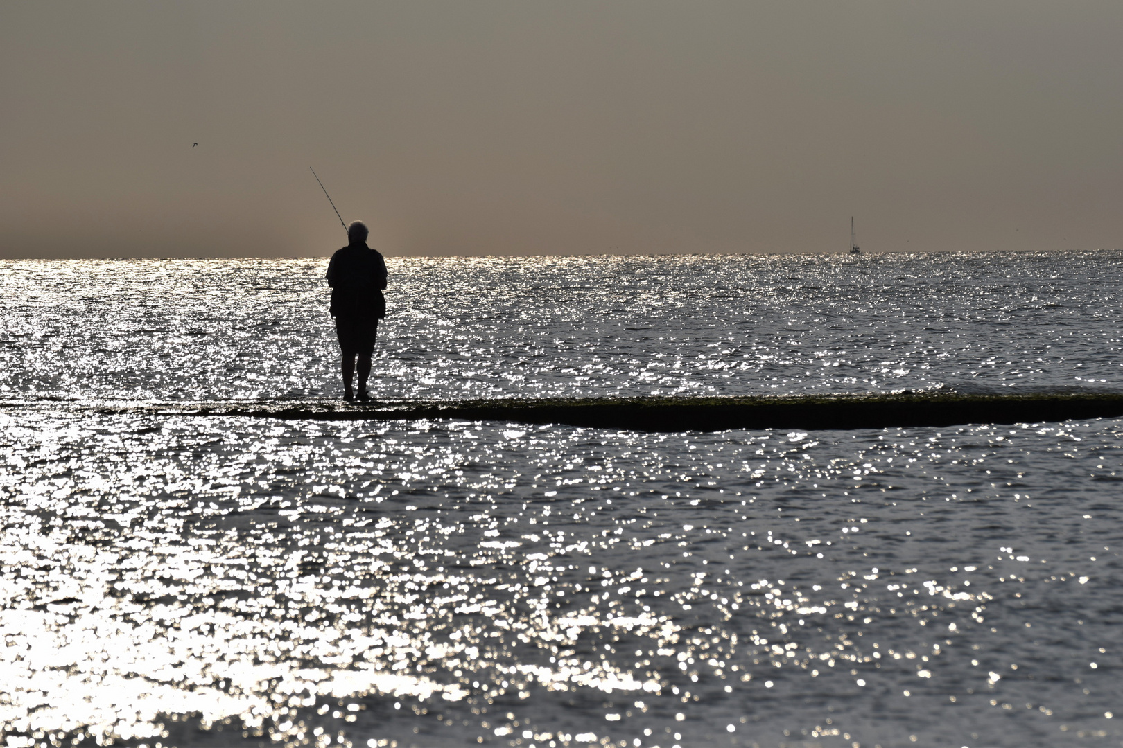 Angler Foto & Bild | erwachsene, deutschland, europe Bilder auf ...