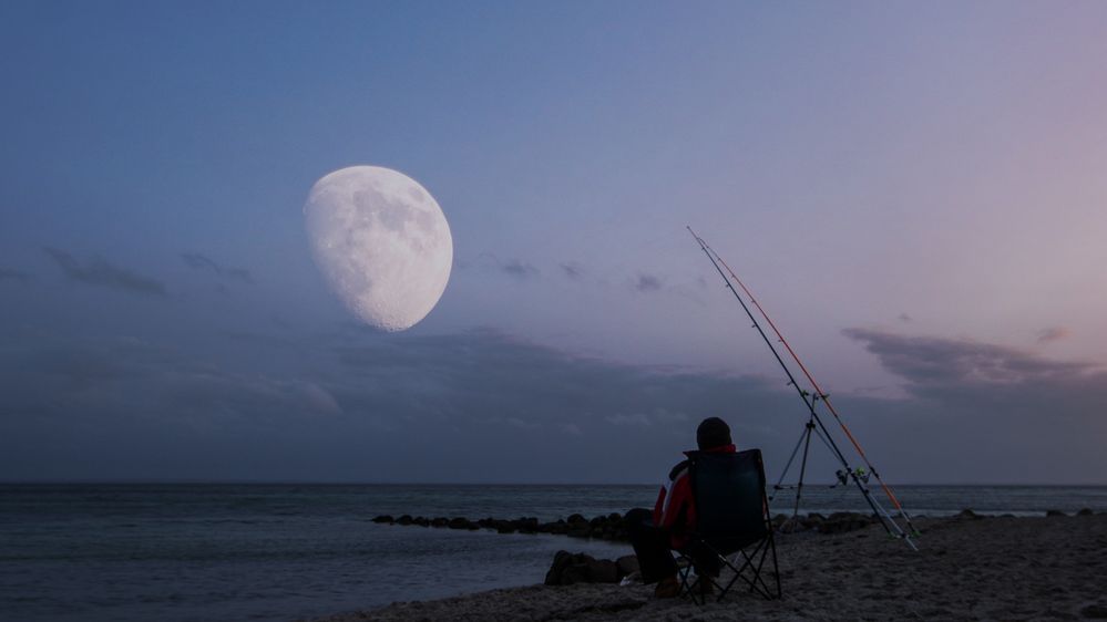 Angler im Mondschein Foto & Bild | fotomontage, composing , composing Bilder auf fotocommunity