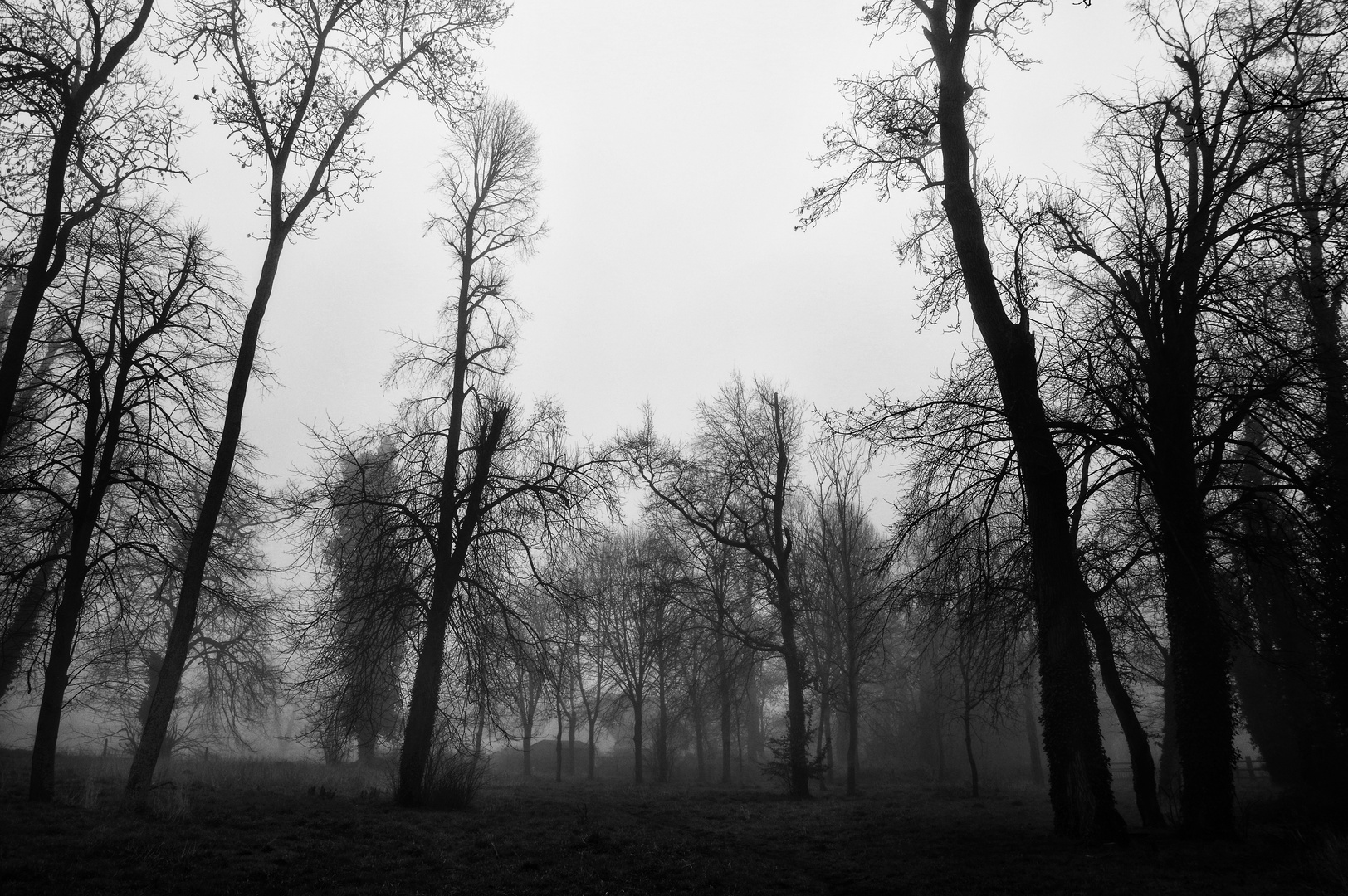 Angoisse photo et image | spécial concours, paysages en noir et blanc ...