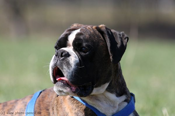 Jacqueline Wunderlich - Fotos & Bilder - Fotografin aus Bad Rappenau ...