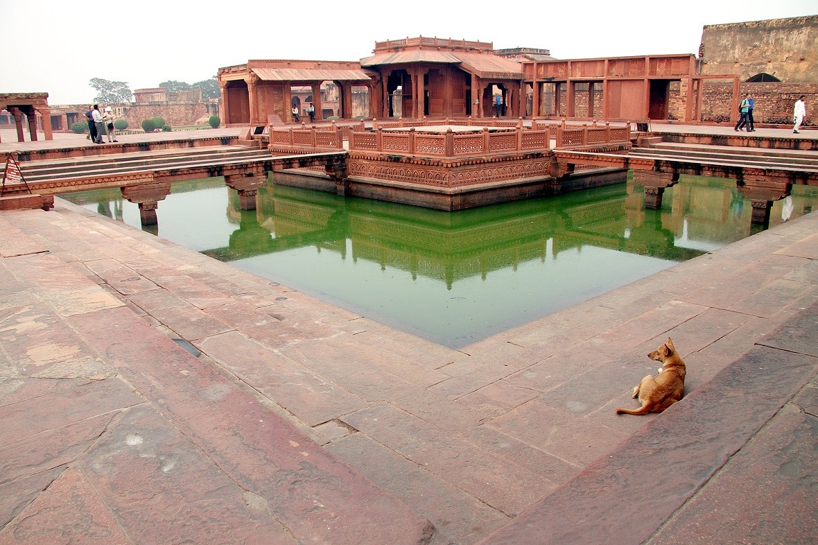 Anup Talab Foto & Bild | asia, india, south asia Bilder auf fotocommunity