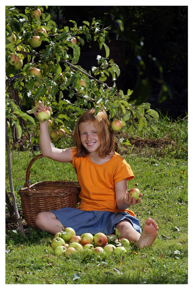 Apfelernte Foto & Bild | kinder, kinder im schulalter, lube Bilder auf ...