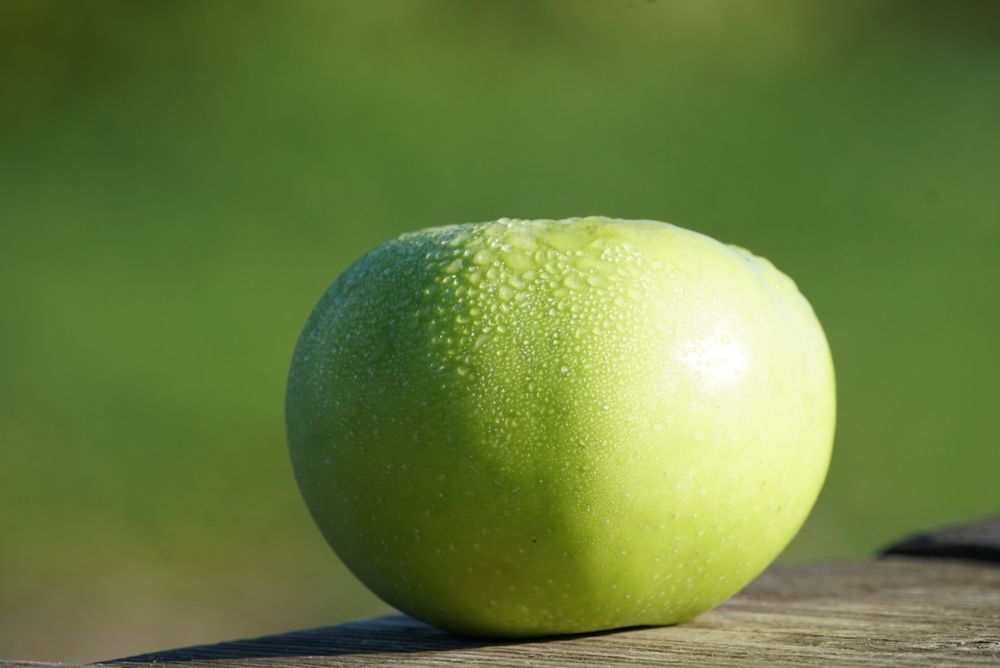 Apfelgrün Foto & Bild | pflanzen, pilze & flechten, früchte und beeren ...