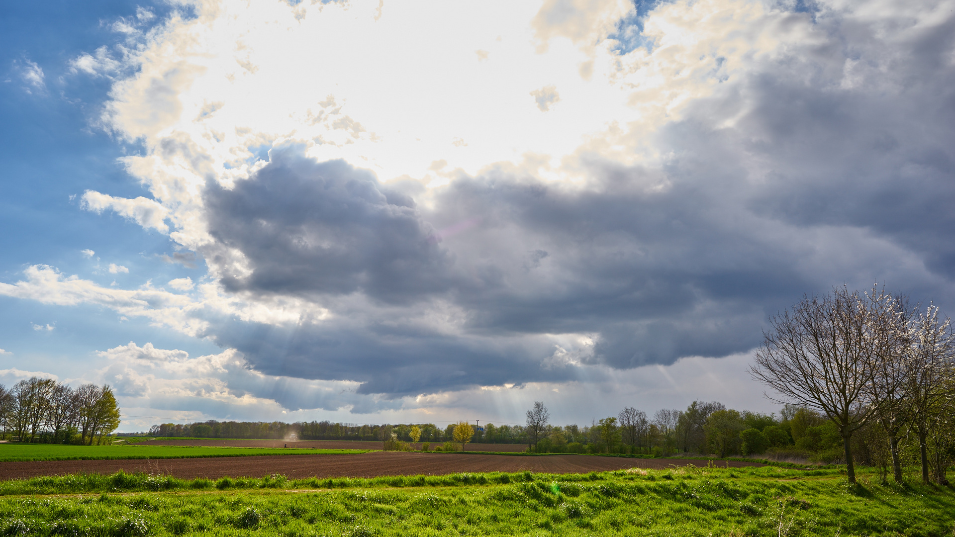 April Foto & Bild | landschaft, Äcker, felder & wiesen, natur Bilder ...