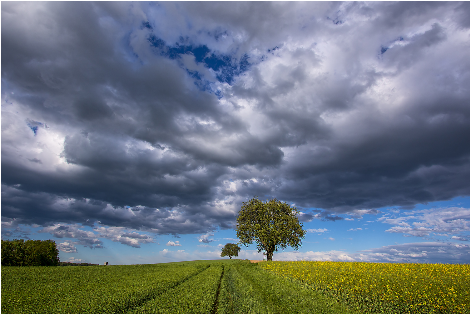 April, April Foto & Bild | fotos, world, bäume Bilder auf fotocommunity