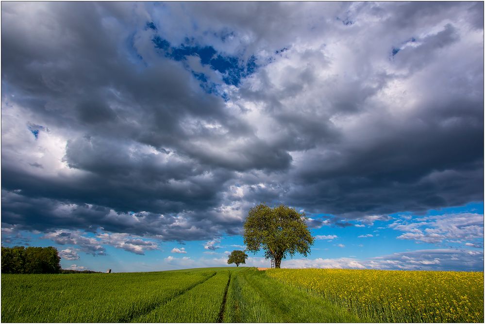 April, April Foto & Bild | fotos, world, bäume Bilder auf fotocommunity