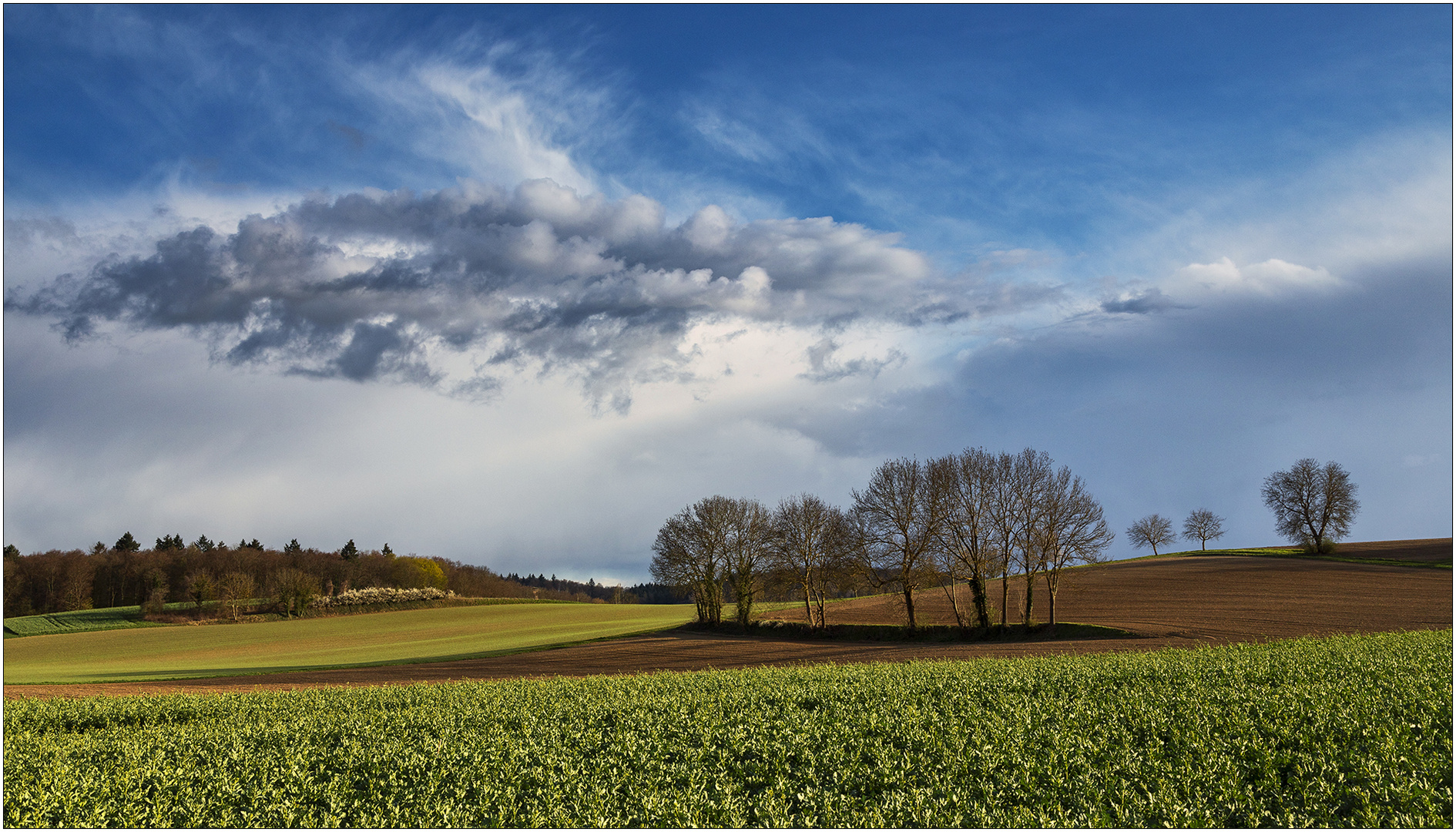 April Foto & Bild | fotos, world, bäume Bilder auf fotocommunity