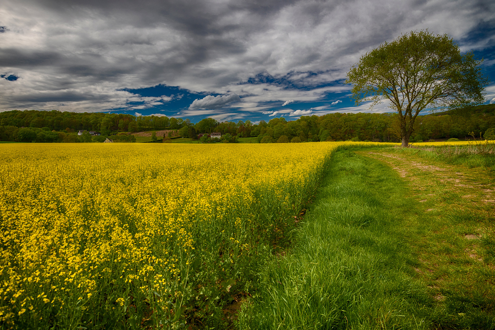 April-Impressionen Foto & Bild | baum, frühling, felder Bilder auf ...