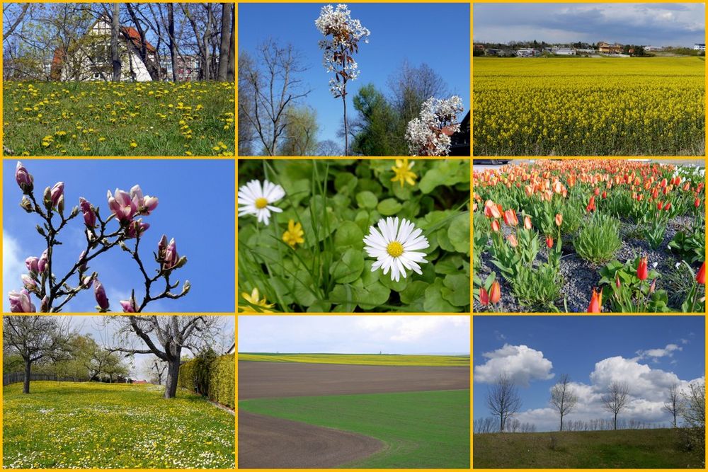 Aprilbilder Foto & Bild | jahreszeiten, collagen, natur Bilder auf ...
