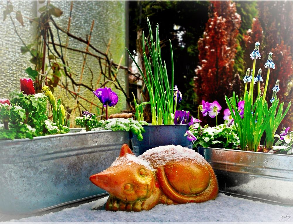 Aprilwetter Foto & Bild | outdoor, frühling, april Bilder auf fotocommunity