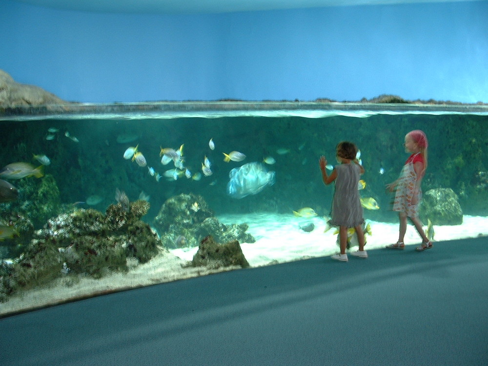 Aquarium de La Rochelle photo et image | documentaire & journalisme ...