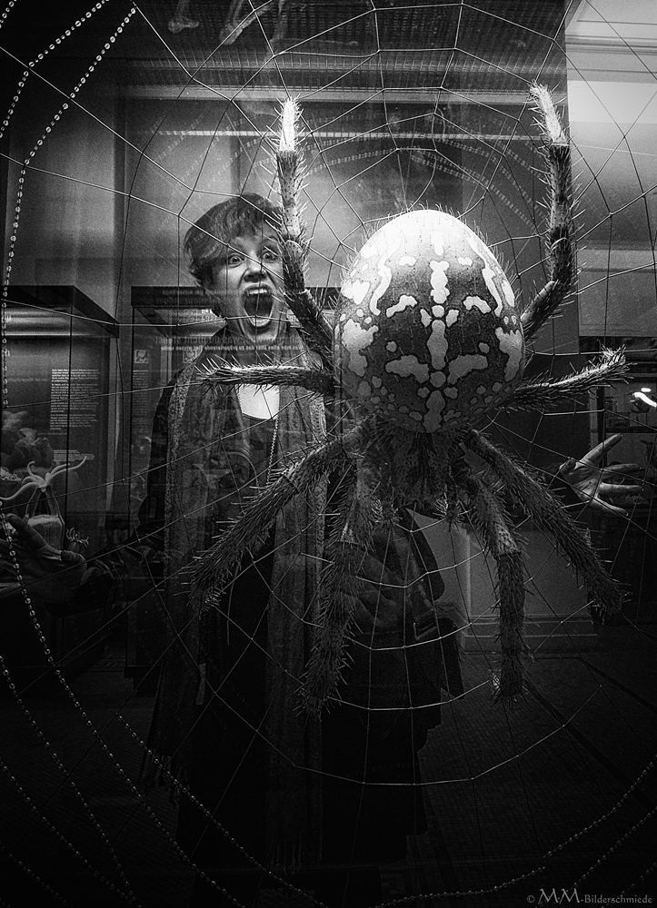 ~ Arachnophobie ~ Foto & Bild | emotionen, angst, spinne Bilder auf ...