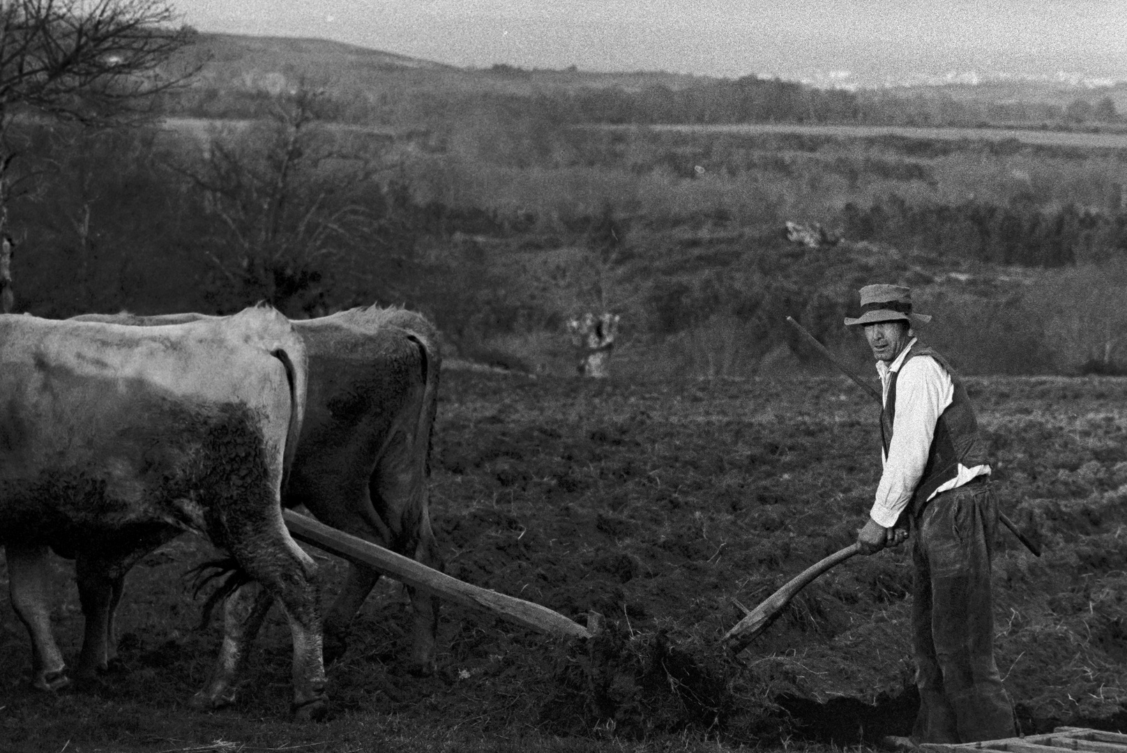 ARANDO LA TIERRA Imagen & Foto | retratos, siglo xx, motivos Fotos de ...
