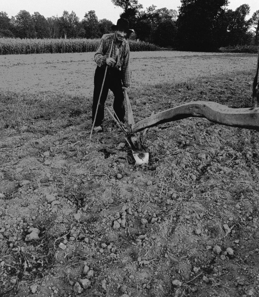 ARANDO LA TIERRA CON ARADO ROMANO Imagen & Foto | retratos, siglo xx ...