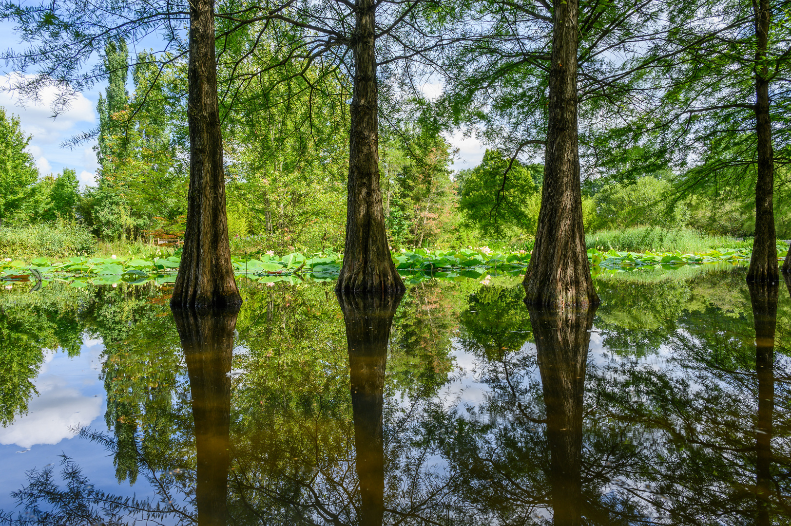 Arboretum Ellerhoop Foto & Bild | deutschland, europe, schleswig ...